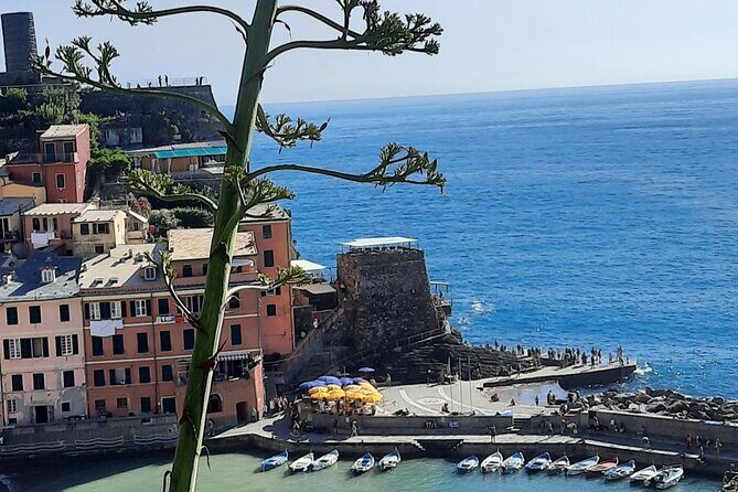 Cinque Terre Semi-Private Day Tour from Montecatini Terme - What You Can Expect: A Detailed Breakdown of the Itinerary