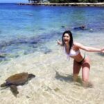 Circle Island: Swim with Turtles and Explore Paradise Oahu - Authenticity and Practicality: What Makes This Tour Stand Out