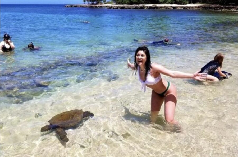 Circle Island: Swim with Turtles and Explore Paradise Oahu - Authenticity and Practicality: What Makes This Tour Stand Out