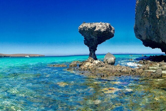 CityTour La Paz, Balandra beach and the Magic Town of Todos Santos - Practical Tips and Considerations