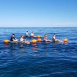 Clear Bottom Kayak - Guaranteed to see Turtles! - Additional considerations