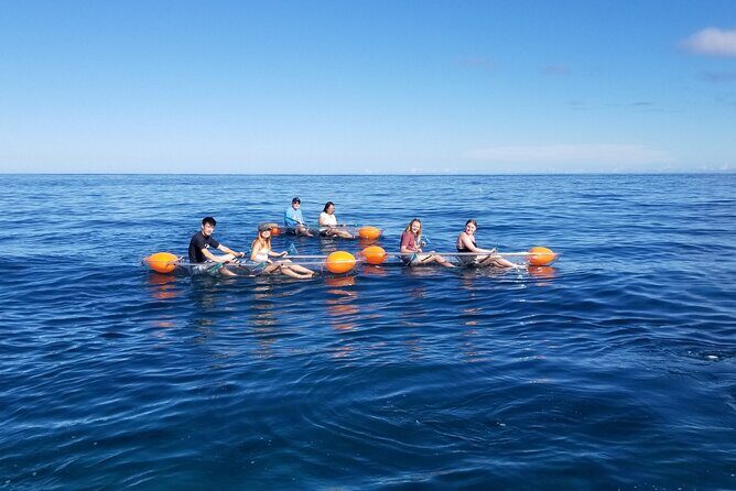 Clear Bottom Kayak - Guaranteed to see Turtles! - Additional considerations