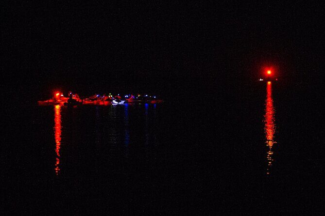 Clear Kayak Bioluminescence Tour - Cocoa Beach - The Route and Stops