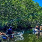 Clear Kayak Ecotour at Robinson Preserve in Bradenton, Florida - The Sum Up
