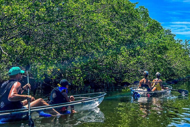 Clear Kayak Ecotour at Robinson Preserve in Bradenton, Florida - The Sum Up