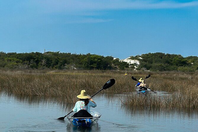 Clear Kayak Ecotour Destin Ft. Walton Beach - What Past Participants Say