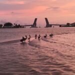 Clear Kayak Glow Tour - The Itinerary and Terrain