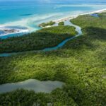 Clear Kayak Guided Eco Tour in North Naples - Final Thoughts: Who Should Consider This Tour?