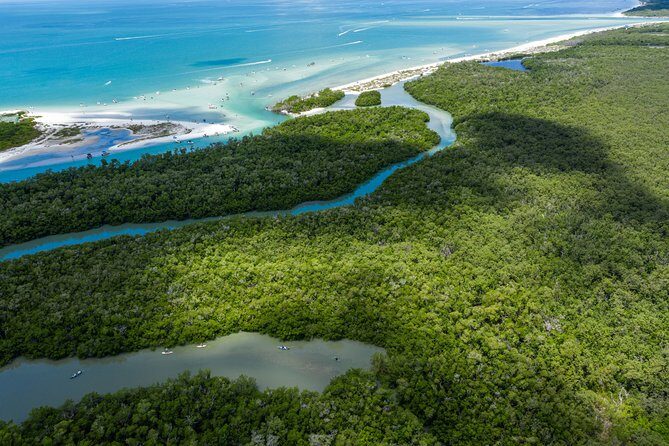 Clear Kayak Guided Eco Tour in North Naples - Final Thoughts: Who Should Consider This Tour?