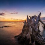 Clear Kayak Guided Kayak Tours in Titusville - The Itinerary: What Makes Each Stop Special