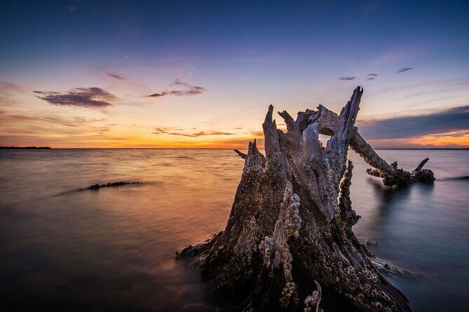 Clear Kayak Guided Kayak Tours in Titusville - The Itinerary: What Makes Each Stop Special