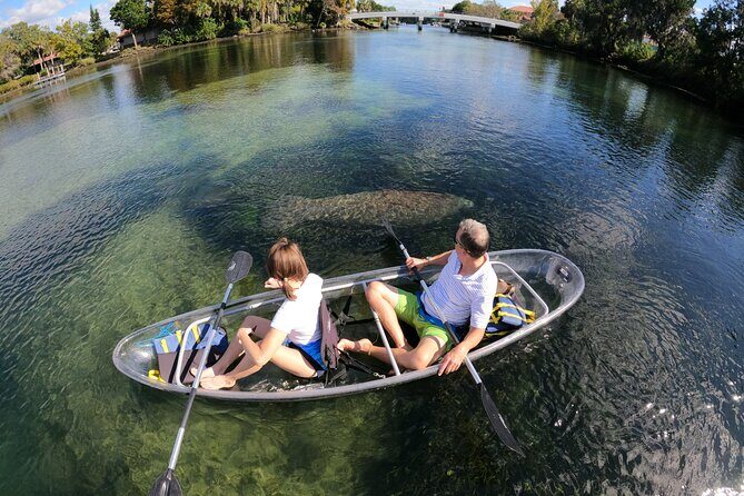 Clear Kayak Manatee Ecotour of Crystal River - Detailed Tour Breakdown