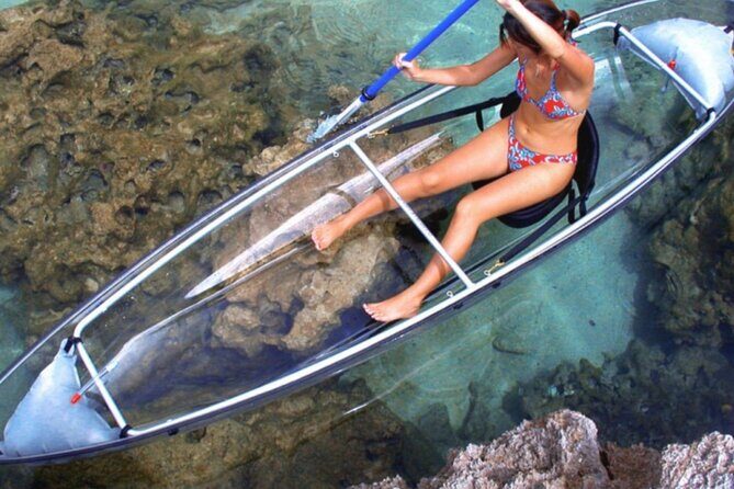Clear Kayak Private Guided Day and Night Tours in Florida - Final Thoughts: Why Choose Clear Kayak Tours?