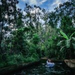Clear Kayak Sunset Tour through The Winter Park Chain of Lakes - Exploring the Itinerary: What to Expect