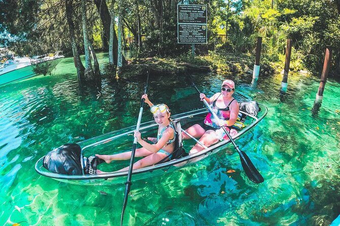 Clear Kayak Three Sisters Springs & Manatee Tour Of Crystal River - Wildlife Encounters & Seasonal Variations