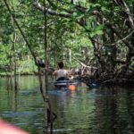 Clear Kayak Tour in North Miami Beach - Mangrove Tunnels - The Authentic Experiences and Visitor Feedback