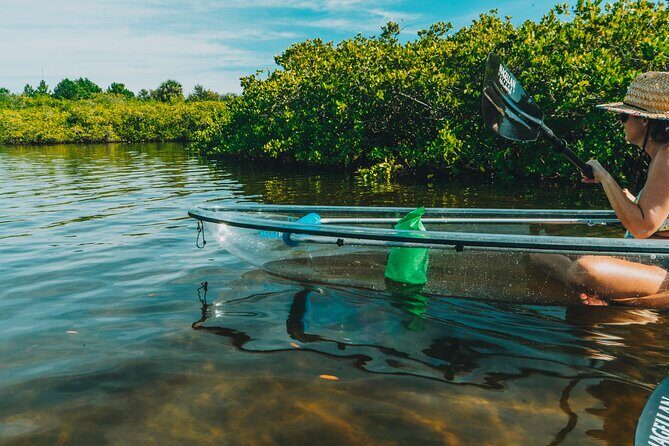 Clear Kayak Tour of Tarpon Springs | Manatee Season - Guides and Customer Experience