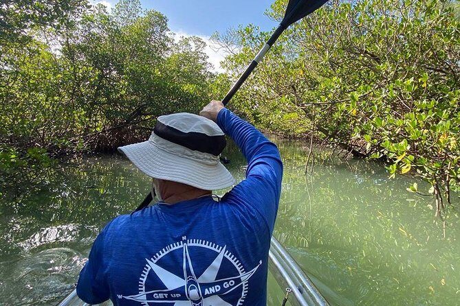 Clear Kayak Tours in Fort Pierce - The Practical Aspects: Everything You Need to Know