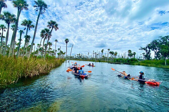 Clear Kayak Tours in Weeki Wachee - The Sum Up