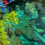 Clear Kayaking Eco Adventure Tour in Marianna - Itinerary Breakdown with Insights