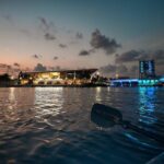 Clear Kayaking Glow Tour in Tampa Riverwalk - The Value of the Experience: Is it Worth the Price?
