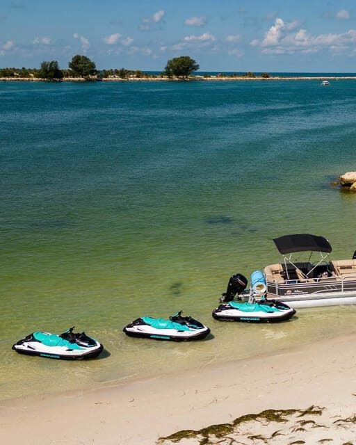 Clearwater: 1 Hour Jetski Dolphin Tour with Guide - Detailed Breakdown of the Experience
