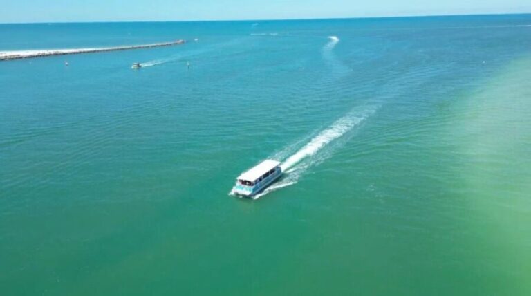 Clearwater Beach: Dolphin & Island Sandbar Cruise - The Scenic Ride & Wildlife Encounters