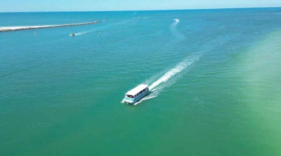 Clearwater Beach: Dolphin & Island Sandbar Cruise - The Scenic Ride & Wildlife Encounters