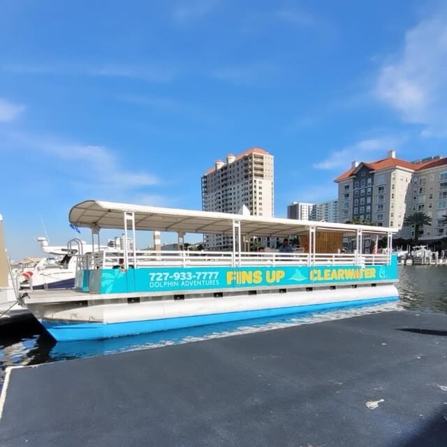 Clearwater Beach: Sunset and Harbor Lights Cruise - An In-Depth Look at the Clearwater Sunset and Harbor Lights Cruise