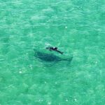 Clearwater: Guided Clear Kayaking Tour - Authentic Encounters & Real Visitor Perspectives