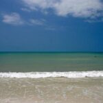 Clearwater Inshore Fishing Charter - The Practical Side: What You Need to Know