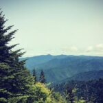 Clingmans Dome Hike - Pricing and Value