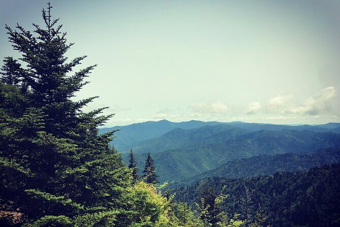 Clingmans Dome Hike - Pricing and Value
