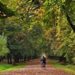 Cluj-Napoca Walking City Tour - Why This Tour Is a Great Choice