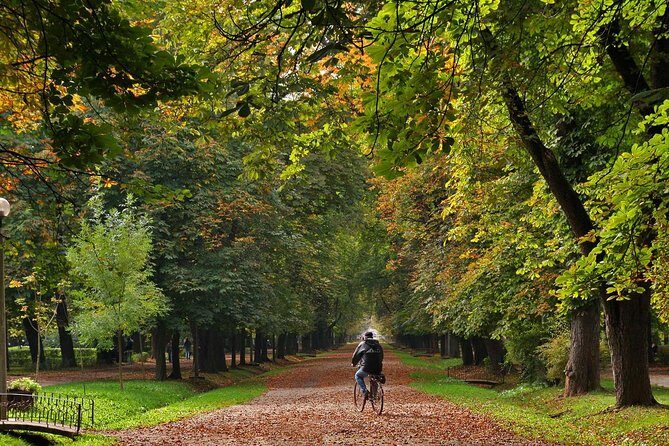 Cluj-Napoca Walking City Tour - Why This Tour Is a Great Choice