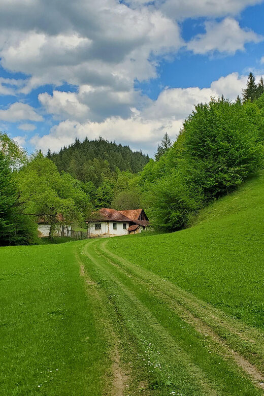 Cluj to Rosia: Day Trip to Ferrata and pittoresque country - What You Can Expect