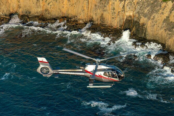 Coastal California Helicopter Tour from Long Beach - Analyzing the Cost and Value
