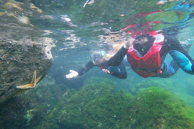 Coasteering adventure with snorkeling: kids version - Highlights of the Tour