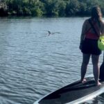 Cocoa Beach: Dolphin and Manatee Kayak or Paddle Tour - What to Expect from the Itinerary