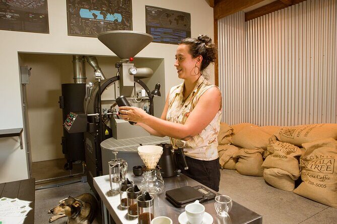 Coffee Brewing Workshop - The Authenticity and Value
