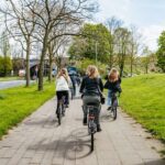Cologne: Ehrenfeld Street Art Bike Tour - Discovering Cologne’s Street Art Scene on Two Wheels