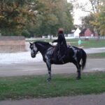 Colonial Williamsburg Ghost Stories and Walking Tour - The Verdict: Is It Worth Your Time?