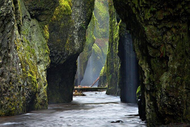 Columbia Gorge Waterfalls and Mt. Hood Tour - Full Day - Why This Tour Offers Value for Your Money