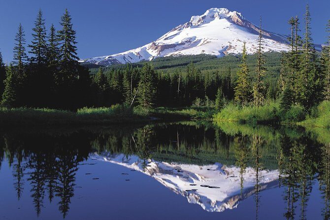 Columbia River Gorge Waterfalls & Mt Hood Tour from Portland, OR - What You Can Expect on This Scenic Journey