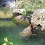 Combi Entrance Ticket to Alpine Zoo and Hungerburg - What the Reviews Reveal: Authentic Perspectives