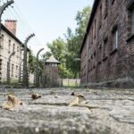 Combined: Auschwitz Birkenau and Salt Mine private chauffeur from Krakow - Who Should Book This Tour?