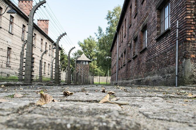 Combined: Auschwitz Birkenau and Salt Mine private chauffeur from Krakow - Who Should Book This Tour?