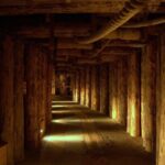 Combined tour Auschwitz Birkenau guided & Salt Mine guided from Krakow - Authentic Experiences Shared by Travelers