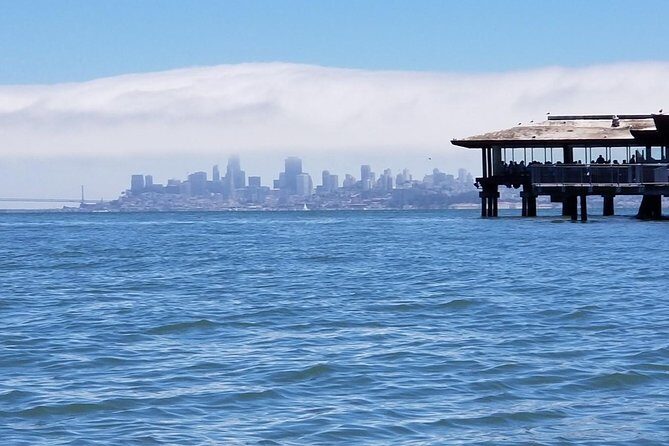 Combo Small-Group Tour: SF City plus Muir Woods & Sausalito - Practical Tips for Travelers