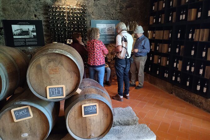 Complete Private Douro Valley Wine Tour - The Itinerary Breakdown